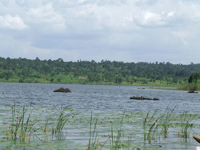 Bienvenu au Burundi.....Kaze i Burundi: Le Lac Rwihinda ou Lac Aux Oiseaux